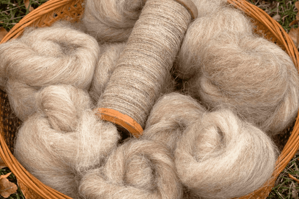 Wool Rugs: 9 Things You Absolutely Need To Know – Turk Rugs